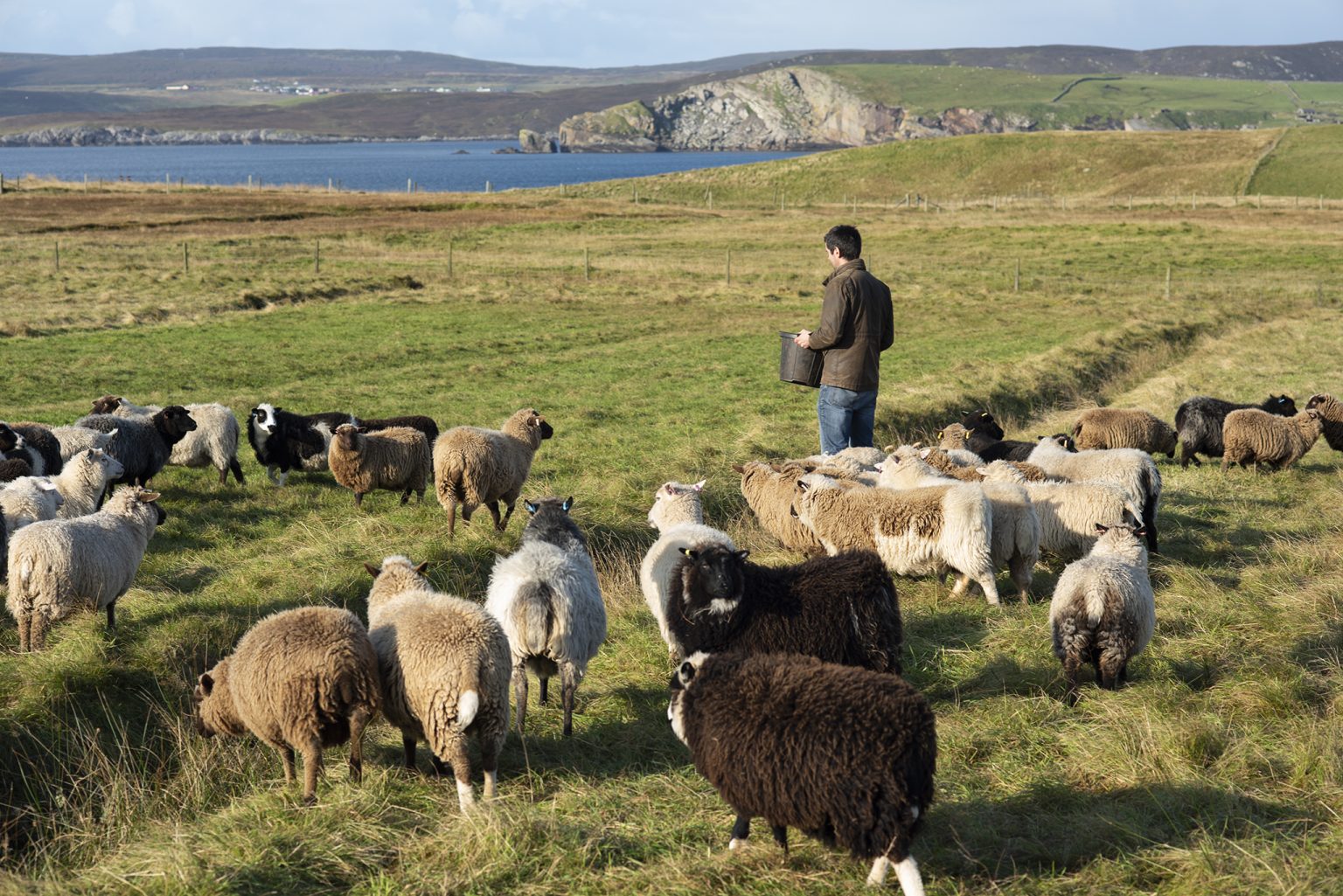 June 2022. Plan your visit to Garths Croft and the island of Bressay ...